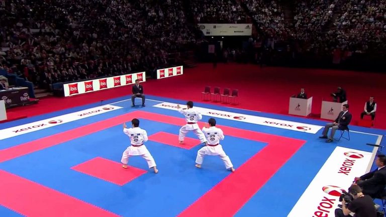 Tatami Importado Bicolor Karate/Taekwondo/Artes Marciales – Jm Sport Perú